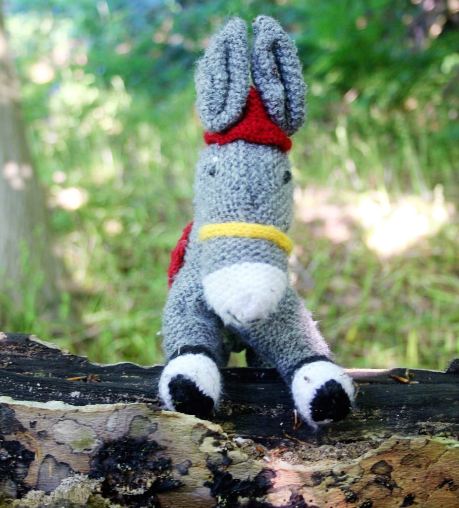 8 Tips for Road Tripping :) - Dinosaurs, Donkeys and MS